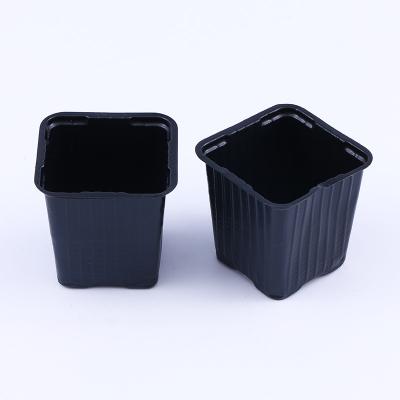 China Customized Square Vacuum Formed Black PP PS Plastic Plant Planting Pot Basin Transplanting Garden Maintenance Tray for sale