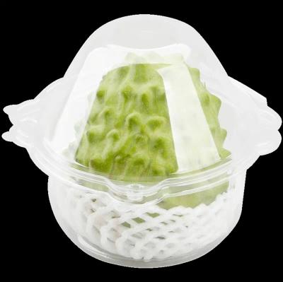 China Customized Disposable Transparent Single Grid Shakya Fruit Blister Clamshell Packaging Mini Cavity PET Plastic Transparent Dragon Fruit Packaging Box for sale