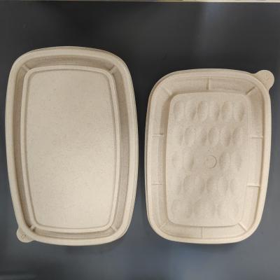 China 800ml Disposable Rice Husk Fiber Pulp Takeaway Box Environmentally Friendly Multi-Chamber Food Container with Lid for sale