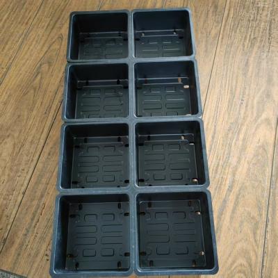 China PS Nursery Seedling Tray Microgreen Agriculture Plastic Seedling Trays 8 Cell Black Agriculture Vegetable Tray for sale