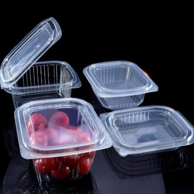 China Customized factory disposable transparent vacuum formed rectangular PET plastic hinge clam shell flat lid sauce, fruit and vegetable pudding box for sale