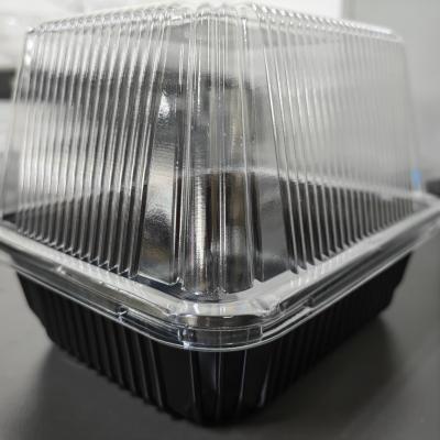 China Disposable PET plastic planting packaging box for bean sprouts and vegetables for sale