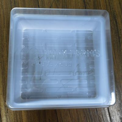 China Customized reusable plastic PET white square plastic greenhouse hydroponic plant seed planting box for sale