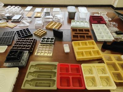 China Customized Plastic Blister Factory Disposable Blister Food Grade PET PP Packaging Tray Packaging Container for sale