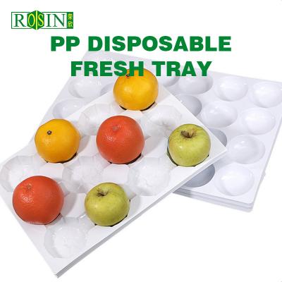 China Customized grid fruit display tray design PP/PET plastic tray suitable for fruits and vegetables for sale