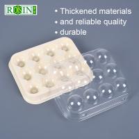 China Customized disposable PET babyberry tray with 12 grid food grade vacuum formed inner tray and transparent lid for sale