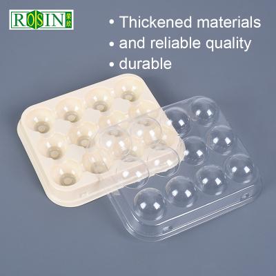 China Customized disposable PET babyberry tray with 12 grid food grade vacuum formed inner tray and transparent lid for sale