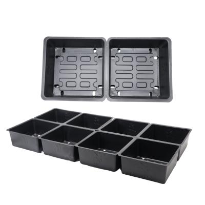 China Customized 8 Cell Rectangular Plant Tray PP Plastic Vacuum Formed Hydroponic Seed Germination Tray With Holes for sale