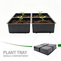 China Customized 8 Cell Rectangular Plant Tray PP Plastic Vacuum Formed Hydroponic Seed Germination Tray With Holes for sale
