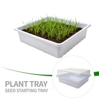 China Customized White PET Square Green Micro Plant Hydroponic Cat Grass Seed Cultivation Tray With Transparent Lid for sale