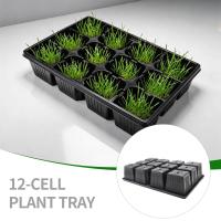 China Customized 12 Grid Vacuum Formed Plastic Thickened Black PP Plant Seed Seedling Planting Tray With Holes for sale