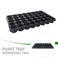 China Customized 40 Cell PP Hydroponic Seedling Tray with Thickened Perforated Hydroponic Planting for sale