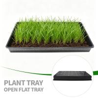 China Customized Black PET/PP Rectangular Flat Bottomed Seedling Tray For Cat Grass And Rice Seedling Pot for sale