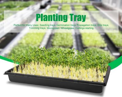China Greenhouse Hydroponic Rectangle Heavy Duty Reusable PS Plastic Nursery Flat Seedling Microgreen Growing Tray Black for sale