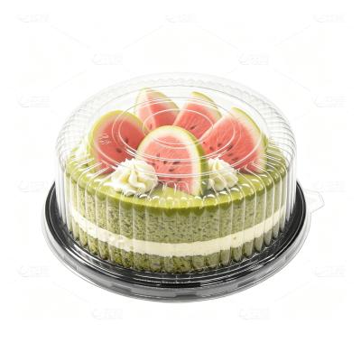 China custom disposable round 12 inch PET transparent cake box with lid for sale