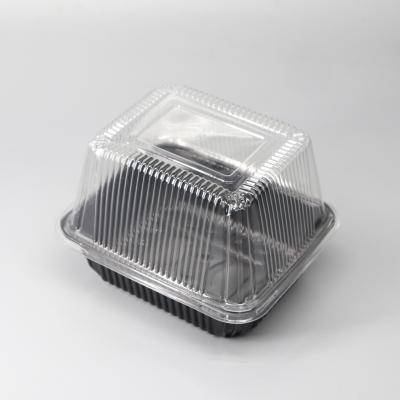China Clear Hinged Bean Sprout Container with Black Base Microgreen Growing Tray for sale