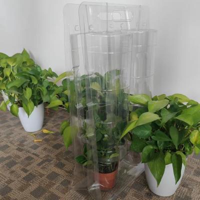 China ODM Clear PET Foldable Plant Protector Clamshell Nursery Pot Transport Guard with Handle for sale