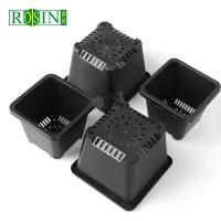 China Black Square Plastic Nursery Pot with Drainage Holes Seedling Flower Planter Pot for sale