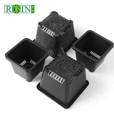 China Black Square Plastic Nursery Pot with Drainage Holes Seedling Flower Planter Pot for sale