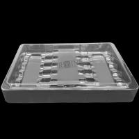 China Customized Clear PET Blister Insert Tray for 10 Paint Tubes with 2 Accessory Slots for sale