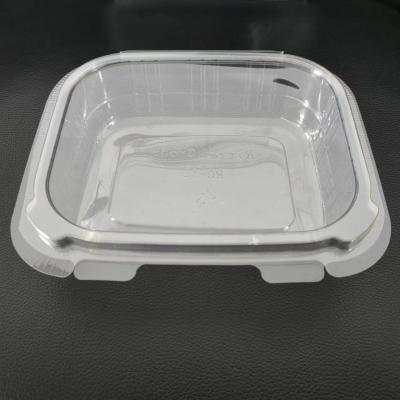 China Customized 8oz Clear PET Hinged Clamshell Fruit Container for sale
