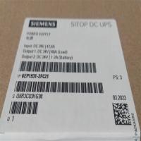 China 15A Uninterruptible Power Supply SITOP 6EP1931-2EC21 DC-USV Module for sale