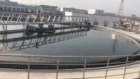 China Sewage Sludge Treatment Sludge Scrapers for Primary Secondary Sedimentation Clarifier tank for sale