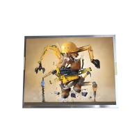 China ODM 12.1 Inch Industrial TFT Display IPS LCD 1024x768 XGA NL10276BC24-21 NEC for sale