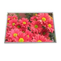 China 19inch 300cd/m2 LTM190M2-L31 WXGA TFT-LCD Display Screen Panel for Desktop Monitor ATM Commercial System PC Computer for sale