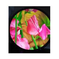 China 23.6 Inch 1280x1280 LVDS Round LCD Screen TFT Display Module DV236FBM-N00 for sale