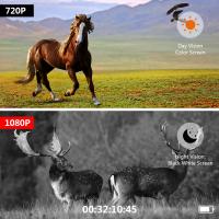 China Game Hunting Tracking High Definition Trail Camera 120 Degree Wide Angle for sale