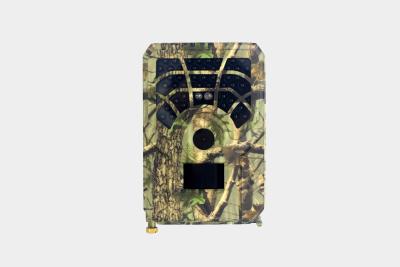 China PR300A  Hunter Trail Camera 720P  46pcs IR Lights for sale