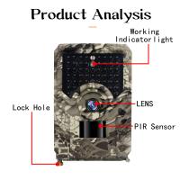 China 16MP 1080P  IP54 Waterproof Hunting Trail Camera with 49pcs IR LED Night Vision for Outdoor Trail  Cheap Focus OEM for sale