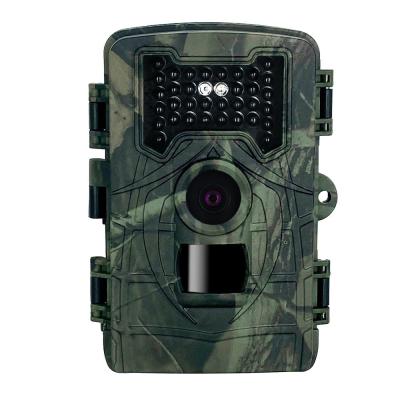 China JPG AVI HD Trail Camera 34pcs LED 24MP 1080P Hunting Night Vision Wildlife Camera for sale