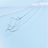 China Silver Stone Basket for Endoscope for sale