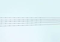 China Flexibility MRI Compatible Medical Guiding Catheters Standard 0.014 Inch Stainless Steel Guidewires for sale