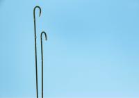 China Medical MRI CT Stainless Steel Tipped PTFE Coated Guide Wires for sale