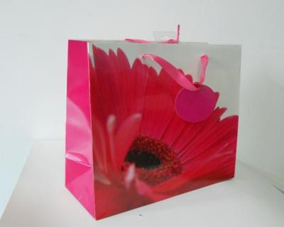 China durable elegant  paper bag for clothes for sale