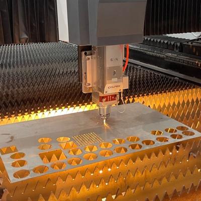 China IPG Purple Horn 1000W CNC Fiber Optic Laser Cutter for Metal 600x600mm for sale