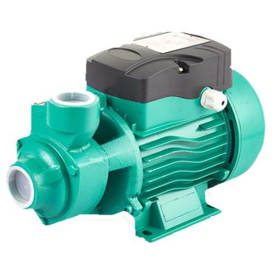 China QB60-QB90 0.5HP-1HP 220V Vortex Water Pump with 36-60m Max Head for Domestic and Garden Use for sale