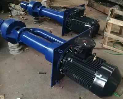 China LSB Vertical Centrifugal Slurry Pump High Wearable Cast Iron 30-200 m³/h 1480 rpm for sale