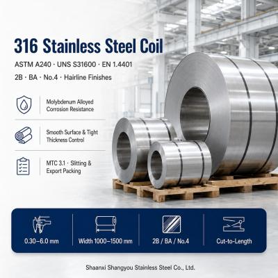 China 316 Molybdenum Alloyed Stainless Steel Coil for Chloride Resistant Industrial Applications  ASTM A240 for sale
