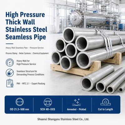 China ASTM A312 High Pressure Thick Wall Stainless Steel Seamless Pipe with Heavy Gauge and Enhanced Strength for sale