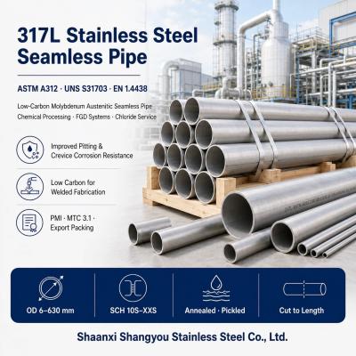 China ASTM A312 TP317L Stainless Steel Seamless Pipe with High Molybdenum for Superior Corrosion Resistance for sale