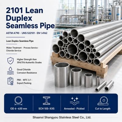 China ASTM A790 S32101 Lean Duplex Stainless Steel Seamless Pipe with Cost-Effective Chloride Resistance for sale