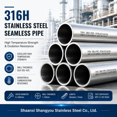 China ASTM A376 TP316H Stainless Steel Seamless Pipe with Molybdenum Alloying and Creep Resistance for sale