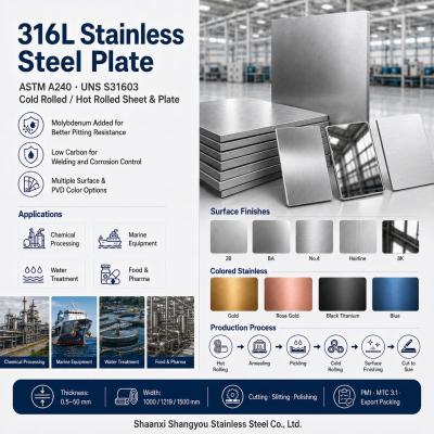 China ASTM A240 316L Stainless Steel Plate UNS S31603 with Molybdenum Alloying and Chloride Resistance for sale