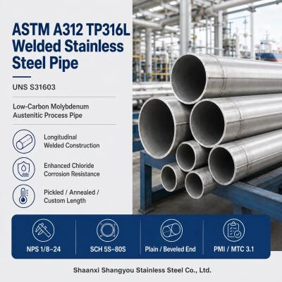 China ASTM A312 TP316L Welded Stainless Steel Pipe Low Carbon Molybdenum Alloyed for Weld Corrosion Service for sale