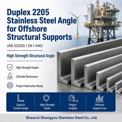 China Duplex 2205 Stainless Steel Angle for Offshore Structural Supports for sale