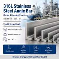 China 316L Stainless Steel Angle Bar for Marine and Chemical Structures for sale